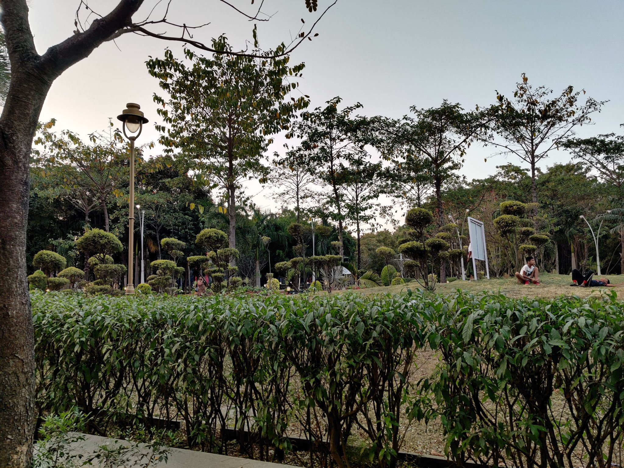 Pipliyapala Regional Park in Indore, Madhya Pradesh - Travel