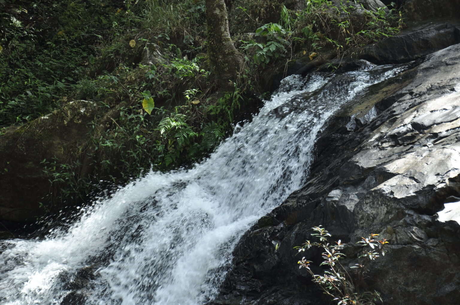 Iruppu WaterFall: Best time,Rameshwara Temple Coorg