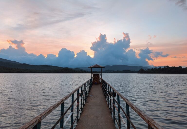 Ayyanakere Lake, Chikmagalur: Nature's Grand Reservoir