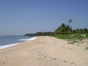Thottada Beach, Activities, Attractions – Kannur - Travel