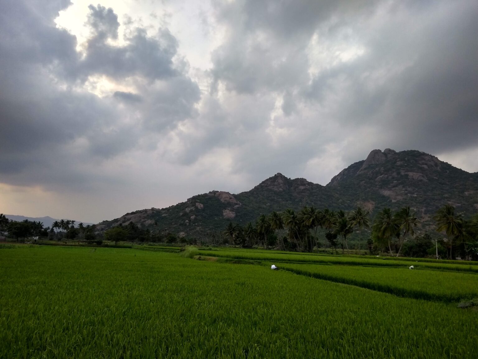 Kalrayan Hills, Eastern Ghats – Tamil Nadu - Travel