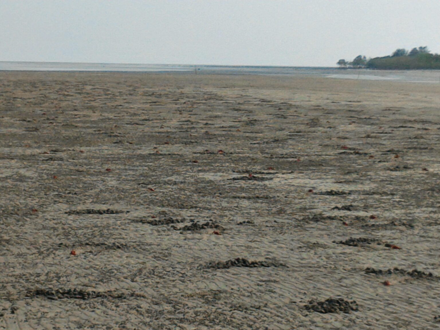 Henry’s Island, Attractions, Best Time : South 24 Parganas - Travel