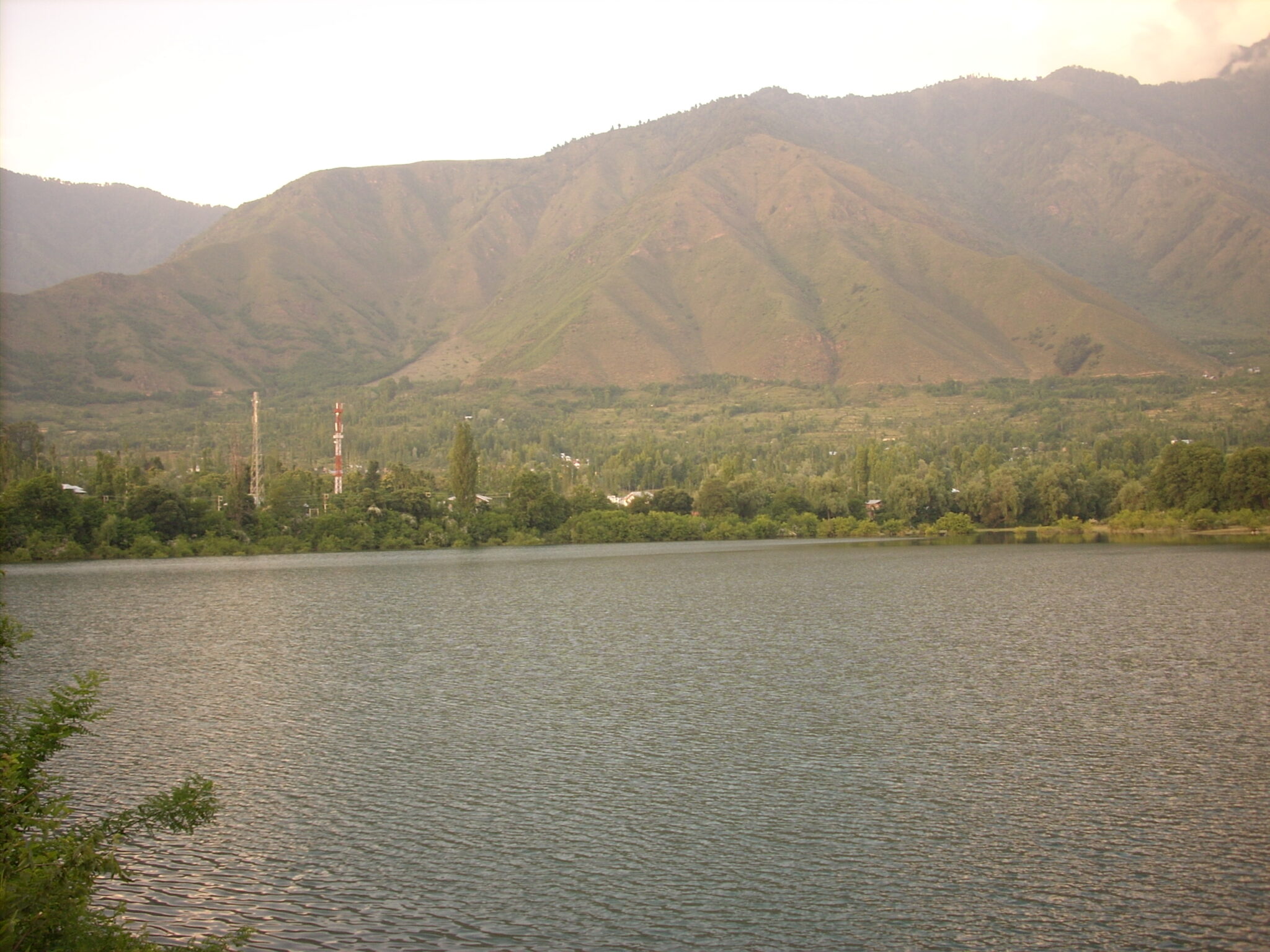 Dachigam National Park, Zabarwan Range, Kashmir stag - Travel